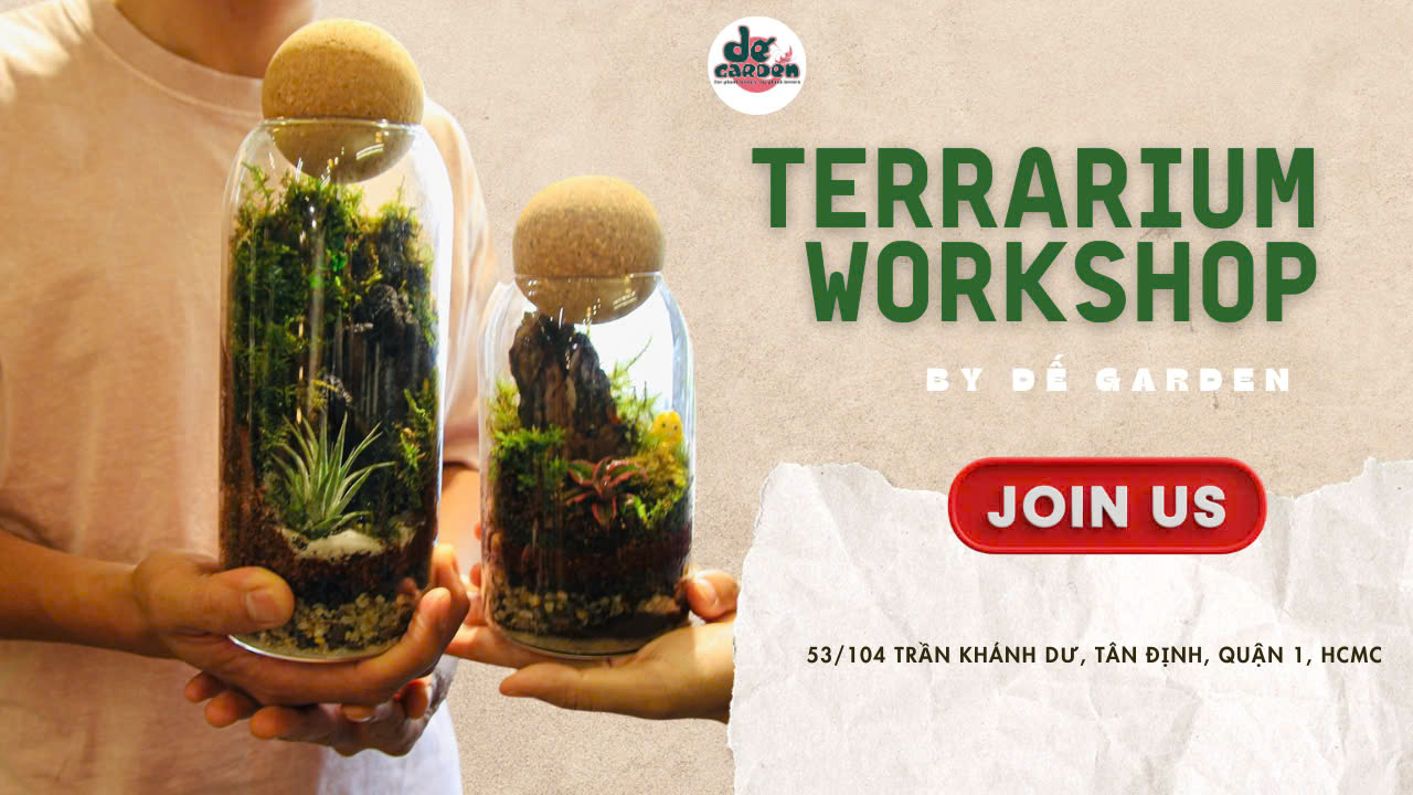 [NEW]Terrarium Workshop | Ticketbox