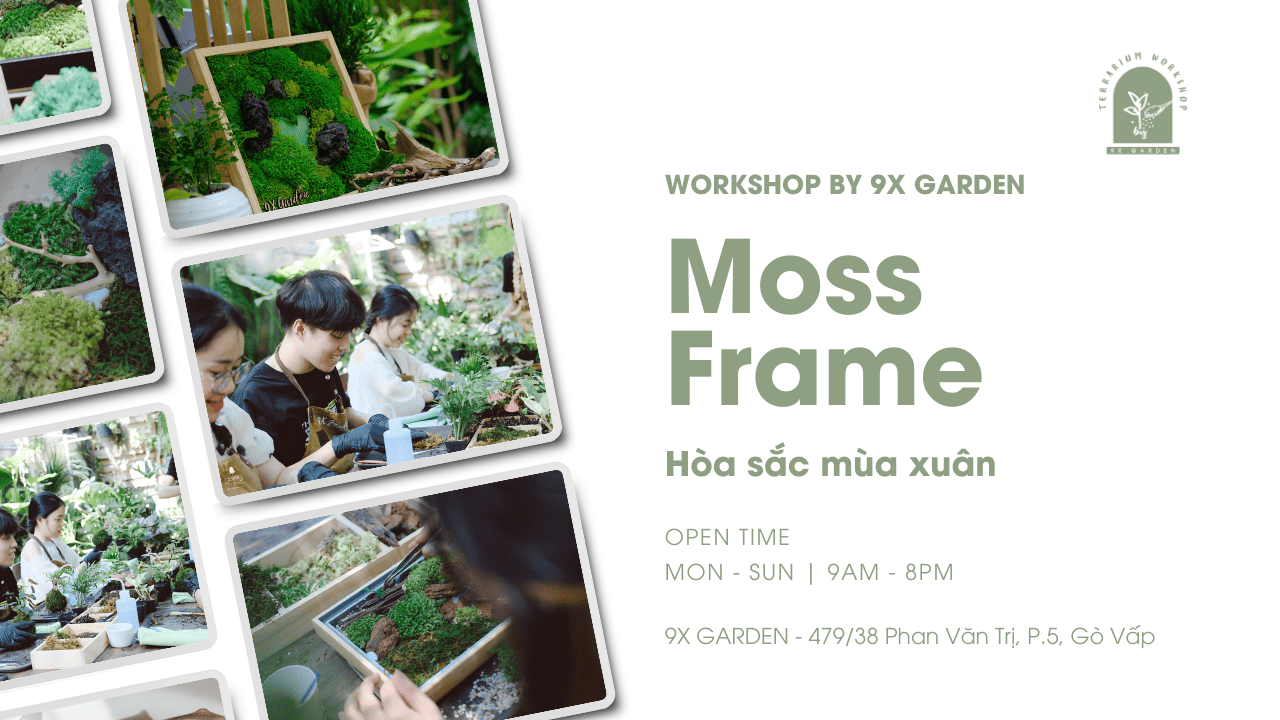 [9X GARDEN] Moss Frame Workshop - Hòa Sắc Mùa Xuân | Ticketbox