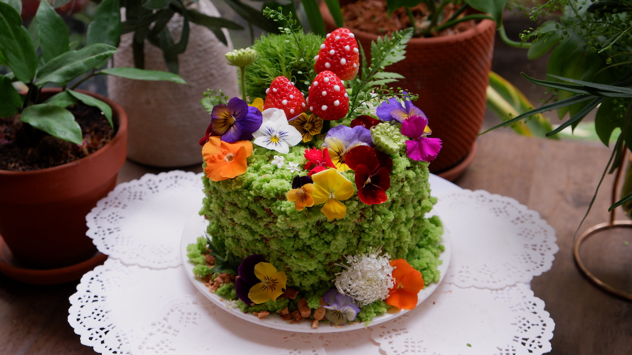 [GARDEN ART] - ART WORKSHOP "TERRARIUM CAKE" | Ticketbox